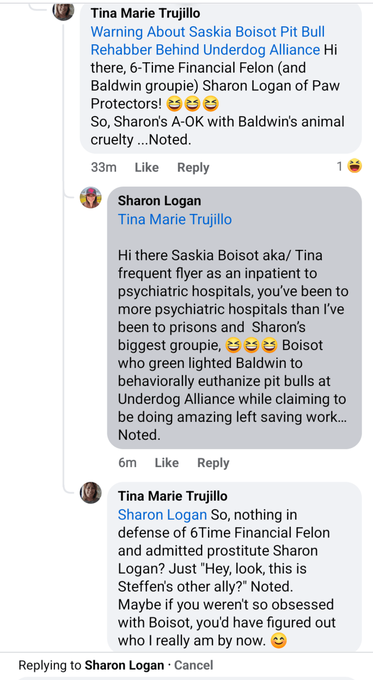 Sharon Logan tried to sabotage trial against accused fraudster and dog-abuser Steffen Baldwin by ...